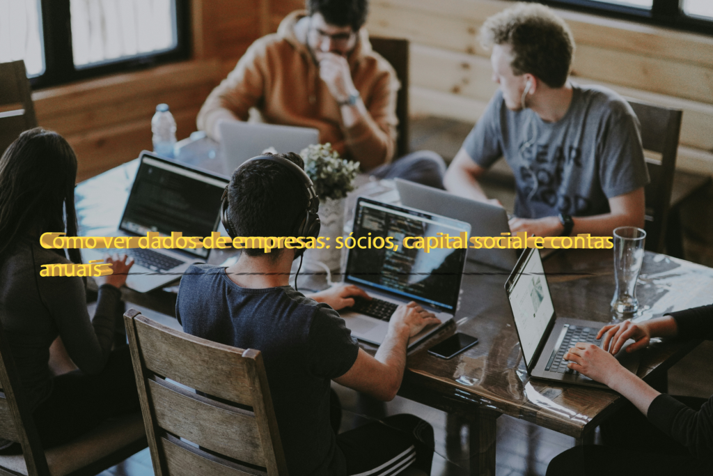 Como ver dados de empresas: sócios, capital social e contas anuais ...